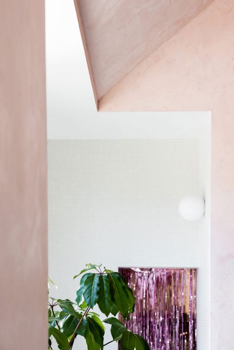 Homepage - Master of Plaster